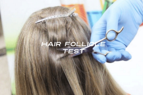 5 Panel 180 Day Hair Drug Test | Employee Testing & Screening ...